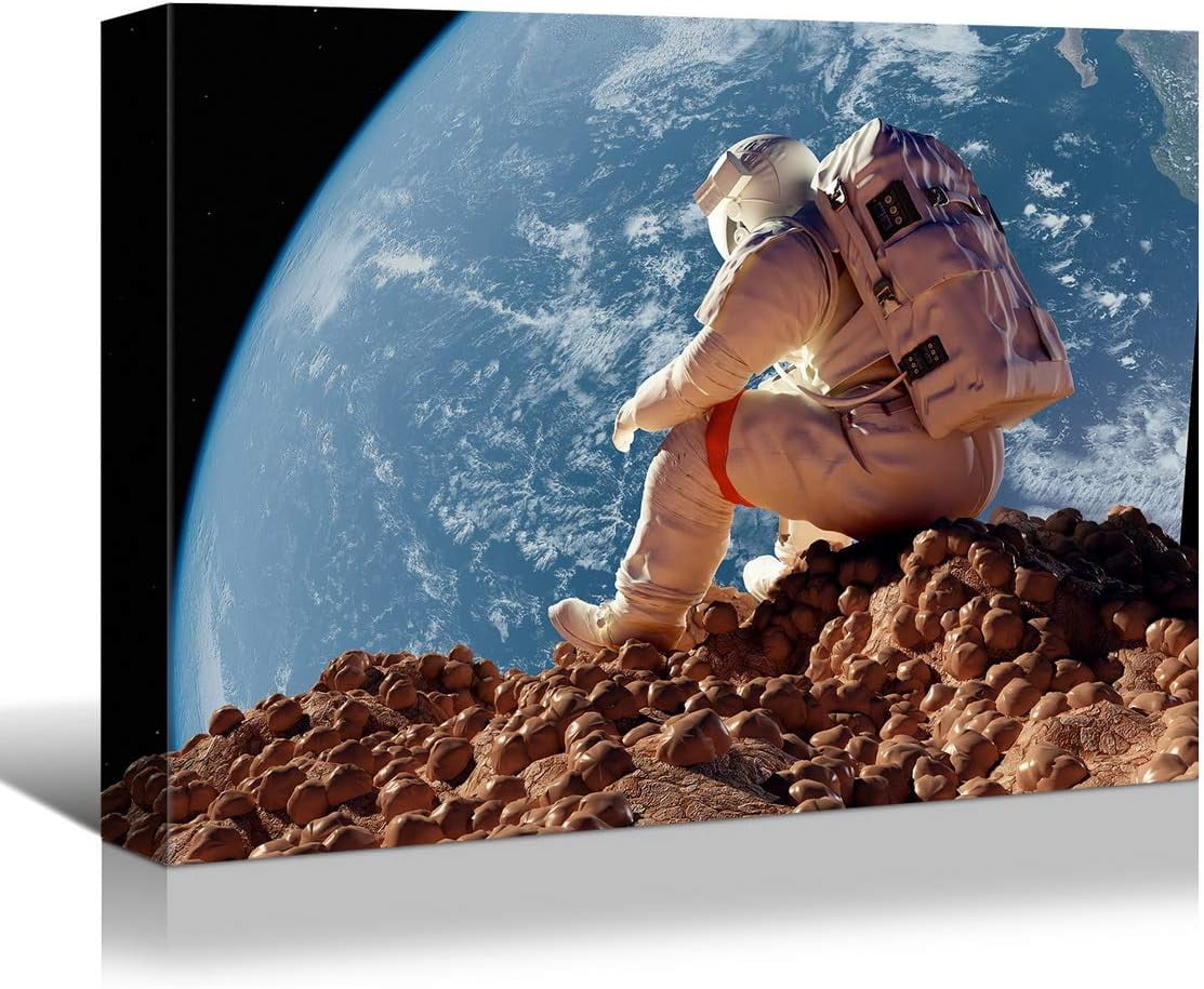 AVOI NASA Astronaut in Space Educational and Motivational Wall Decor ...