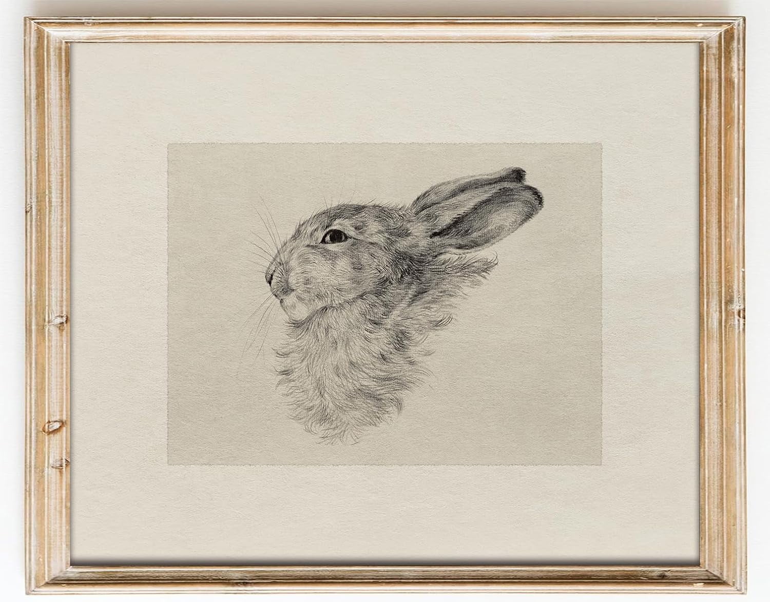 AVOI Neutral Wall Art Decor, Vintage Rabbit Canvas Painting, Farmhouse ...