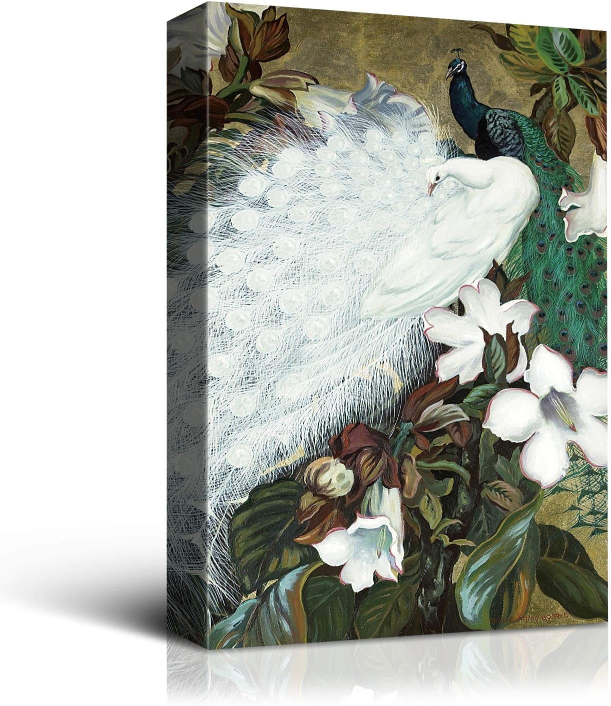 AVOI Peacock Canvas Art Prints,Animal Peacock Canvas Wall Art for ...