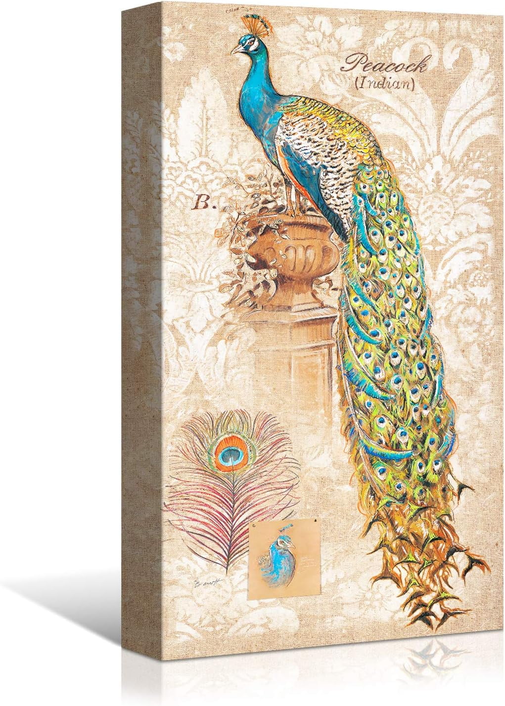 AVOI Peacock Prints Wall Art Decor for Living Room Bedroom - Beautiful ...