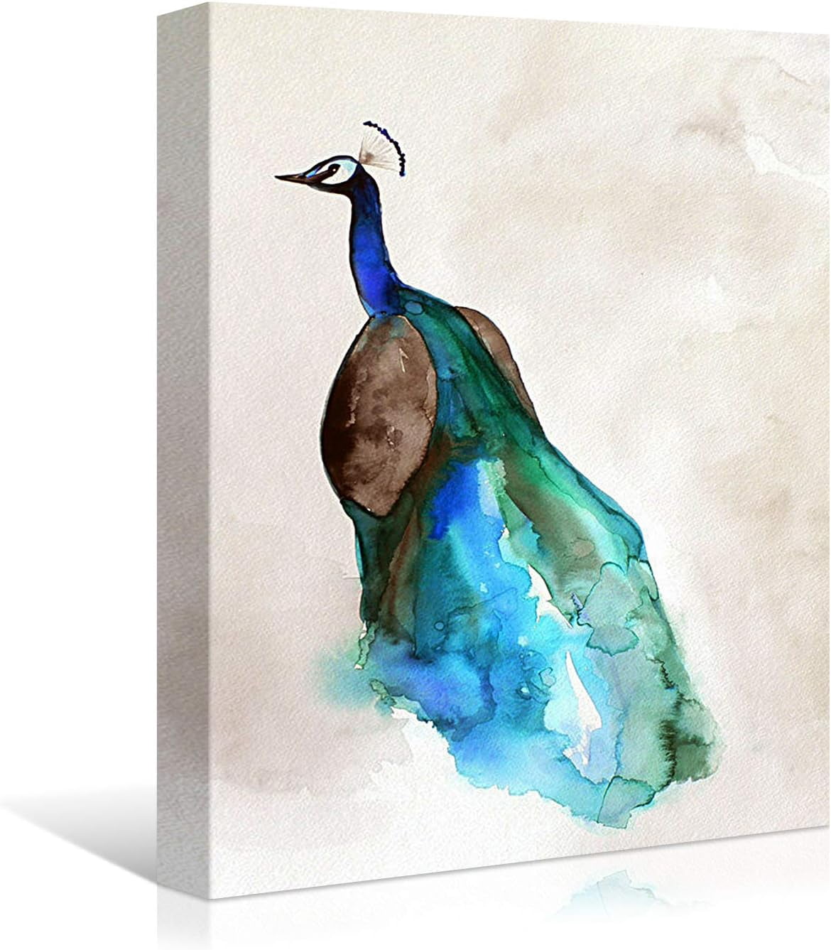 AVOI Peacock Showing Its Feathers Canvas Prints Wall Art Picture ...