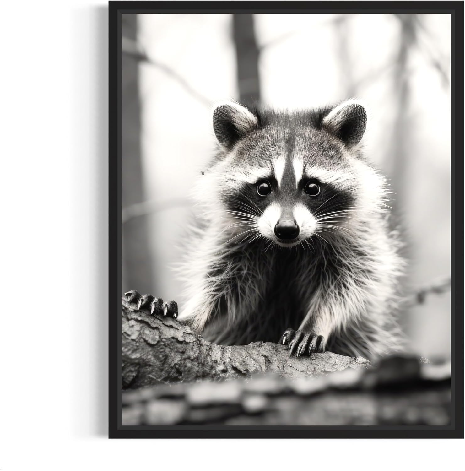 AVOI Raccoon Art Prints Posters, Black and White Photography Wall Art ...