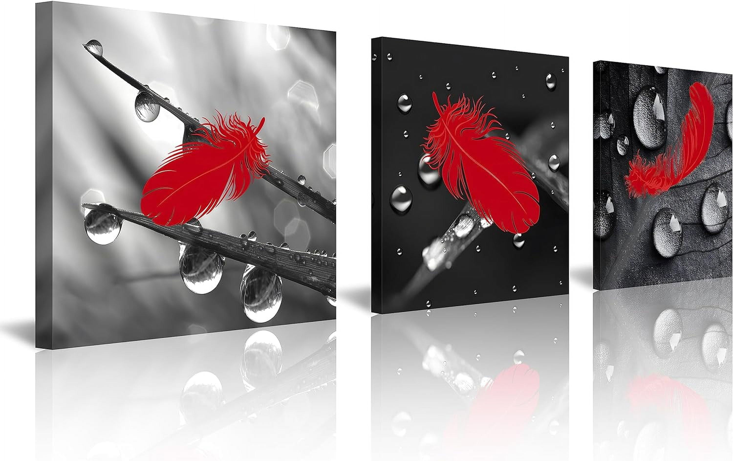AVOI Red Feather Canvas Wall Art Set Black and White Abstract Decor ...