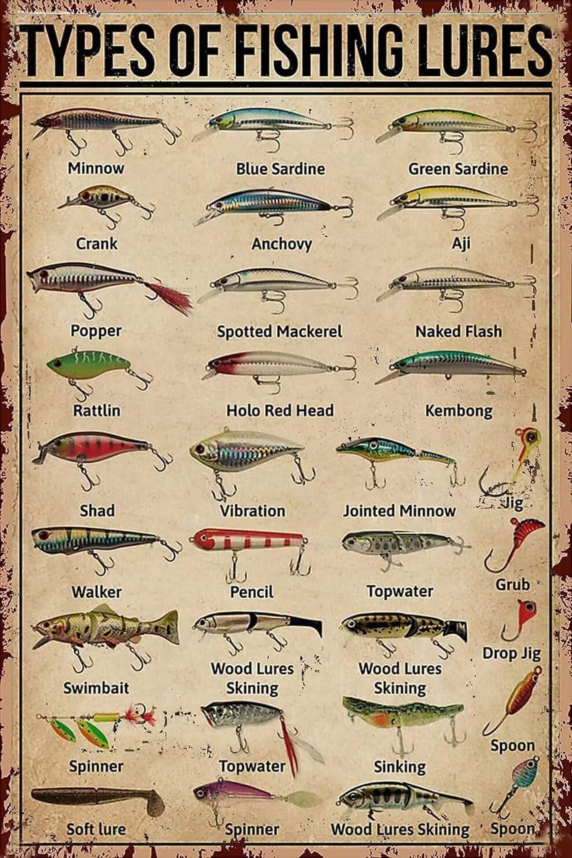 AVOI Retro Fishing Paintings Canvas Wall Art Types Of Fishing Lures ...