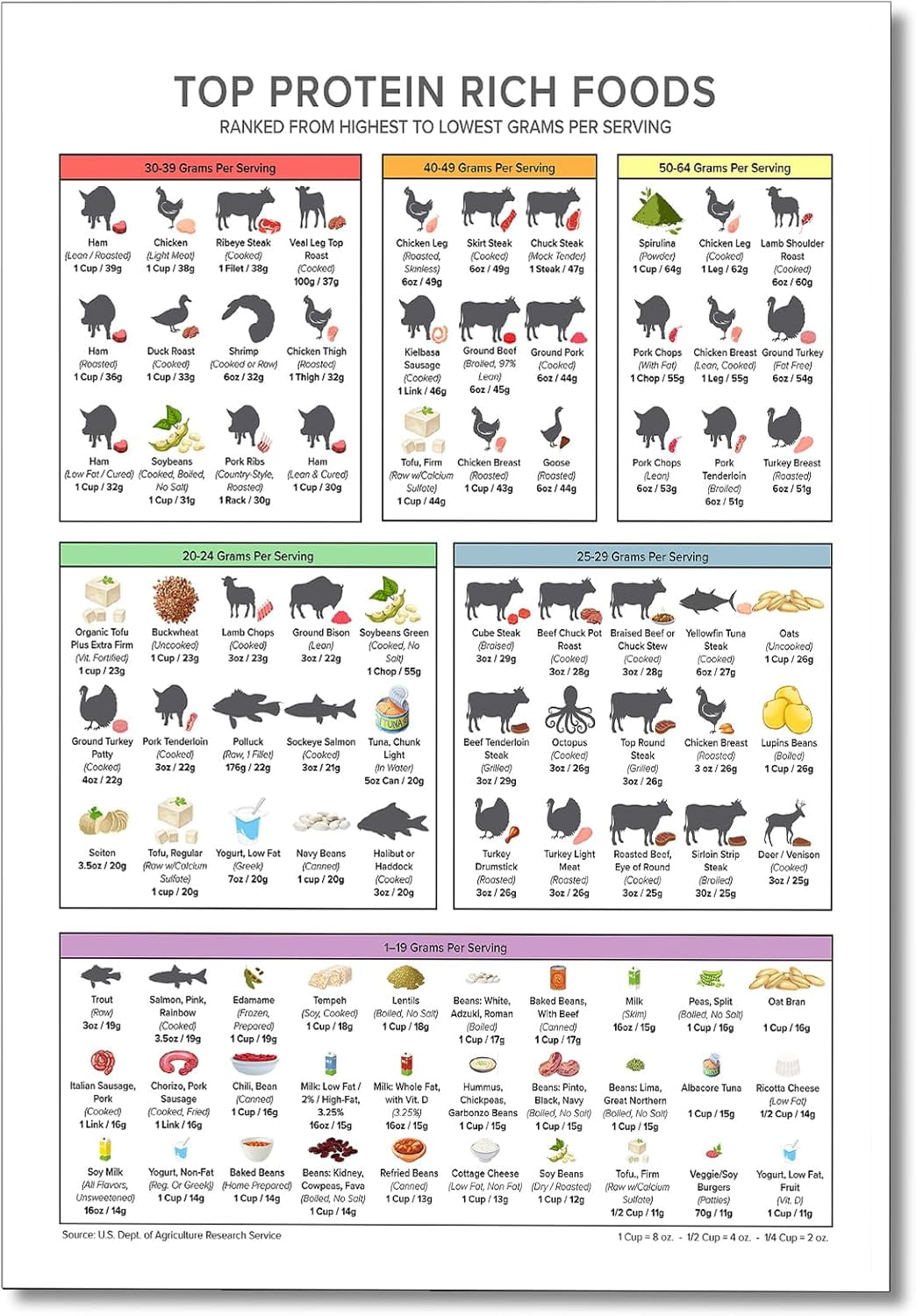 AVOI Rich Protein Chart Wall Art, Top Protein Rich Foods Poster, Keto ...