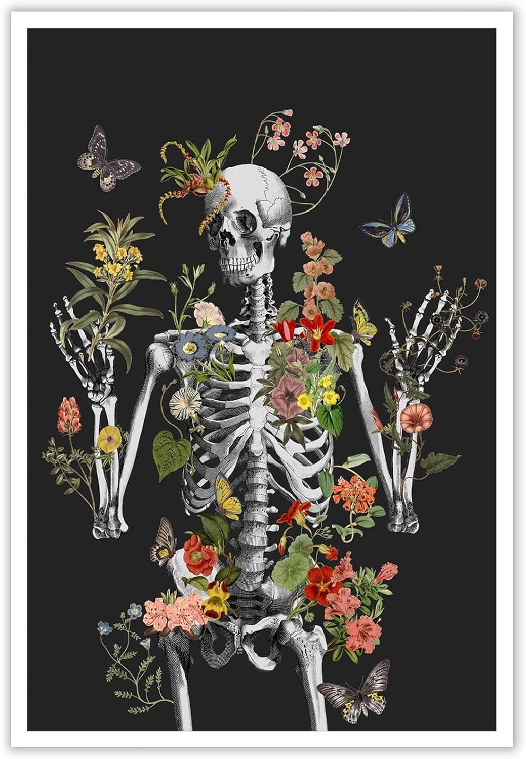 AVOI Skeletal System Anatomy Poster Laminated Human Physiology And ...