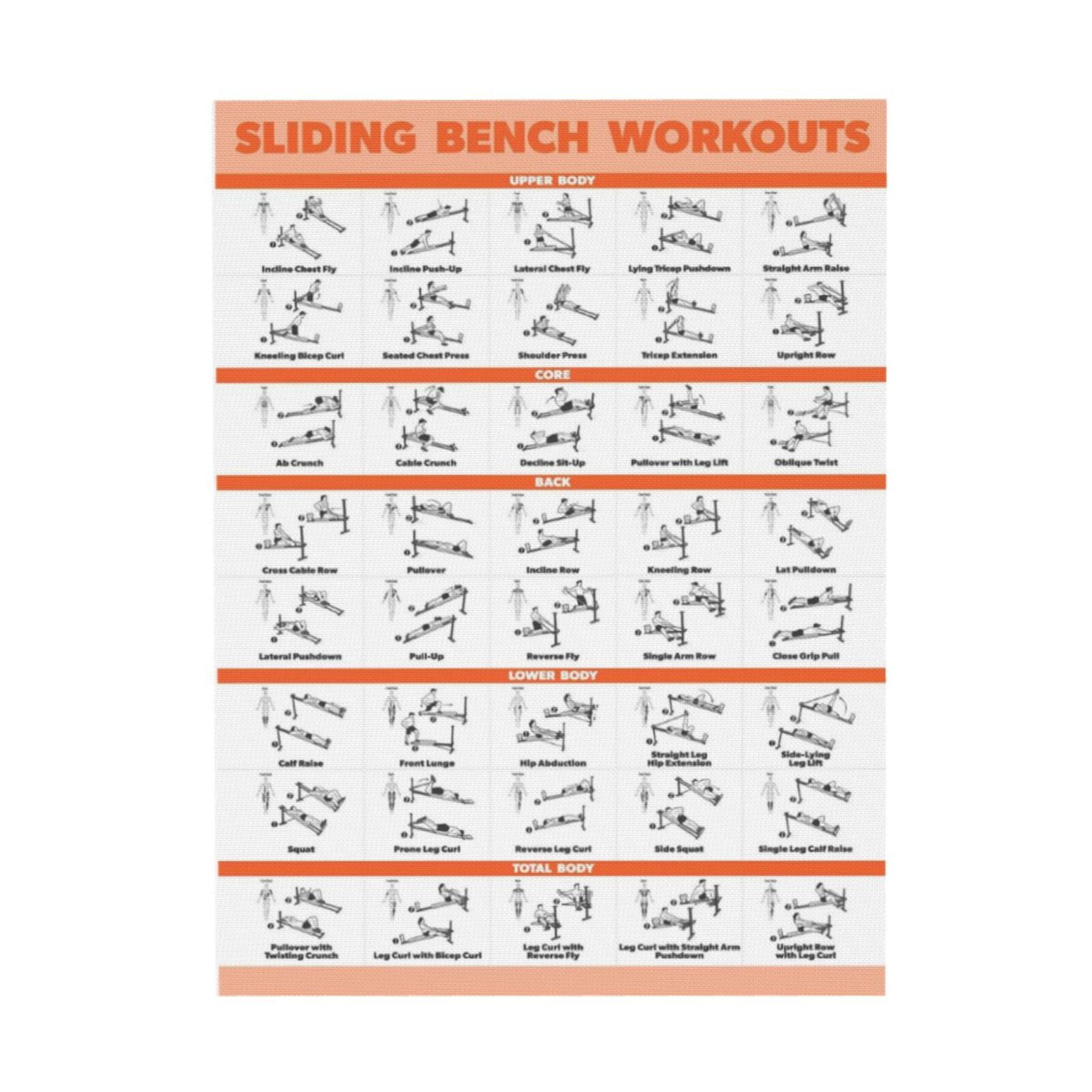 AVOI Sliding Bench Workout Poster - Compatible with Total Gym, Weider ...