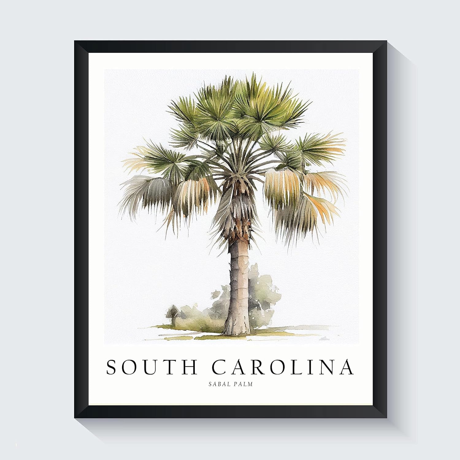 AVOI South Carolina State Tree Art Print, South Carolina Poster Wall ...