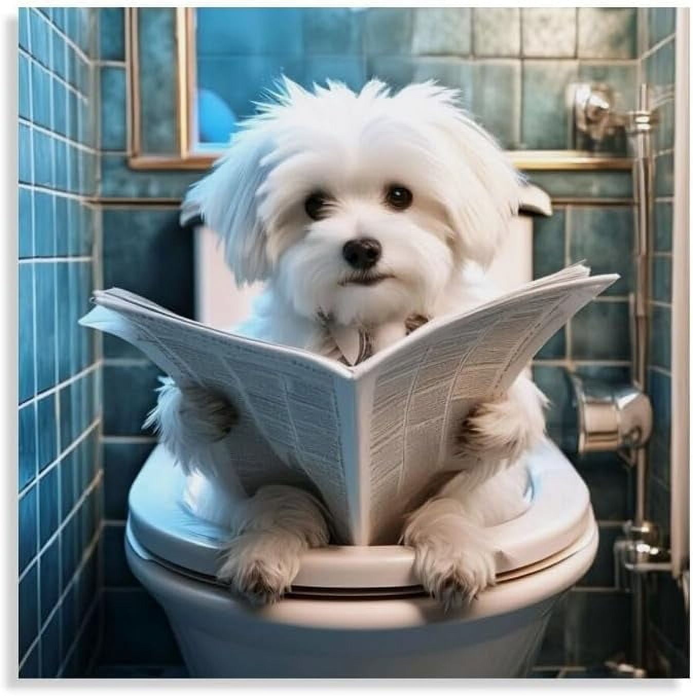 AVOI Square Canvas Bathroom Decor Maltese Dog Wall Decor Poster Animals ...