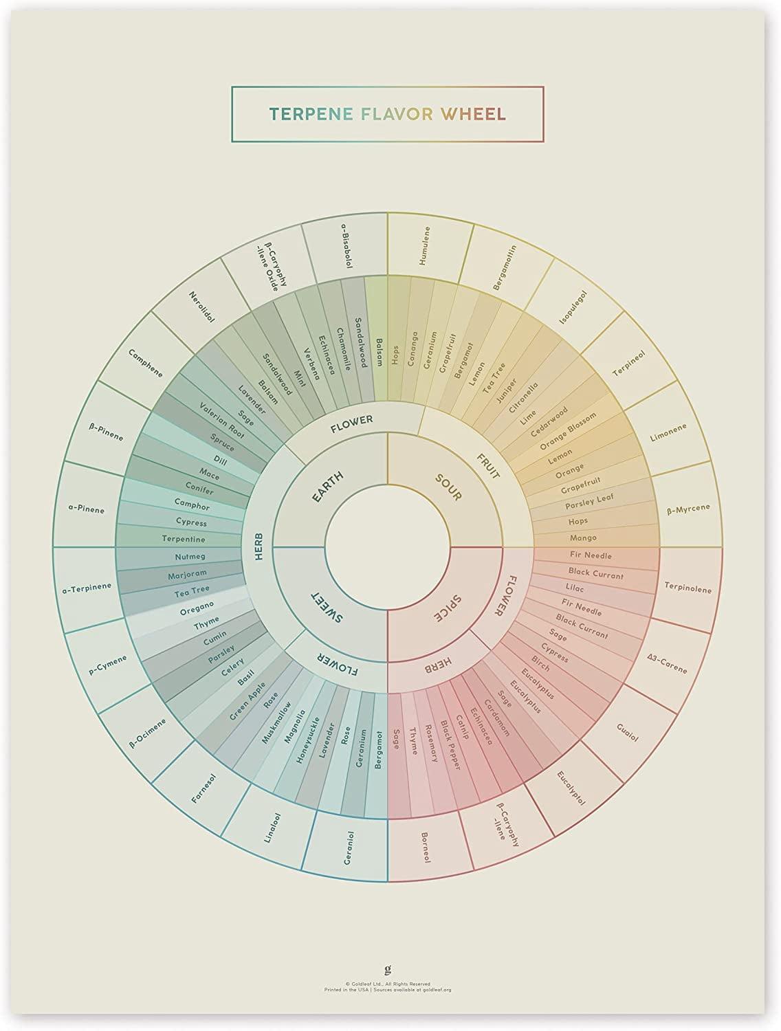 AVOI Terpene Flavor Wheel Art Print, Minimalist Terpenes Infographic ...