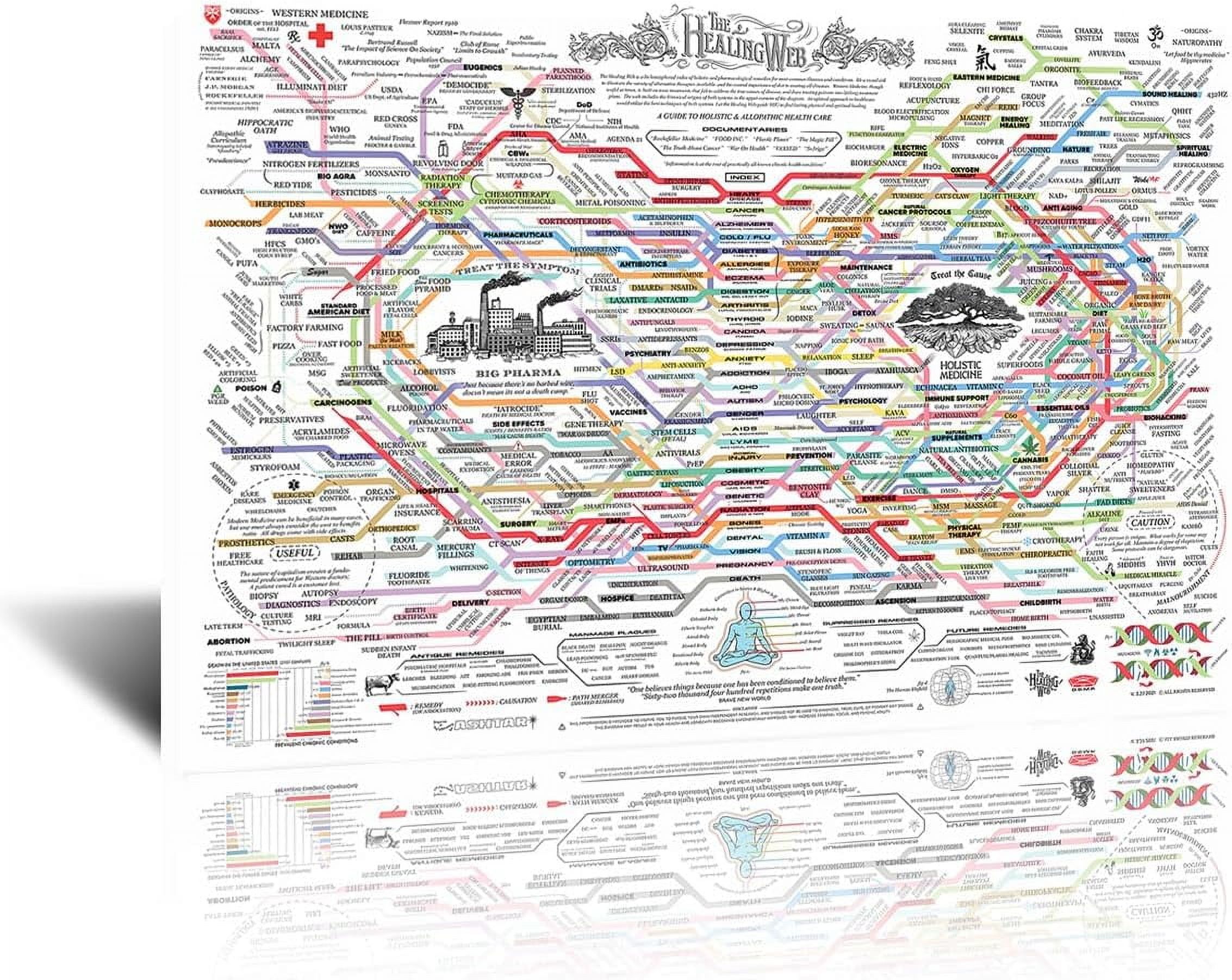 AVOI The Healing Web Chart Poster Comprehensive Natural Remedies Wall ...