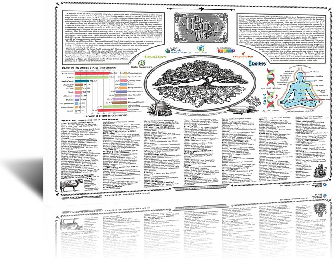 11.17 22 Pdf Poster Master The Healing Web Poster - Health Diagram The ...