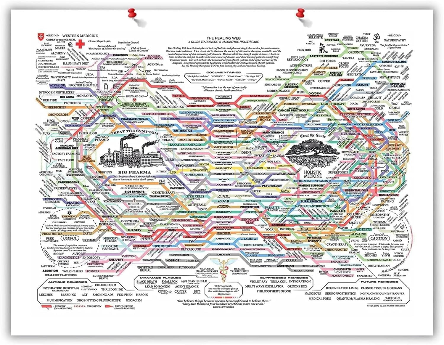 AVOI The Healing Web Poster-Natural Remedies Chart Canvas Print ...