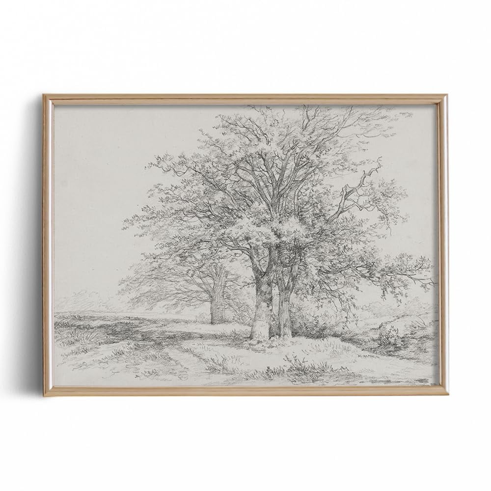 AVOI Trees Nature Etching Rustic Picture - Landscape Forest Wild ...