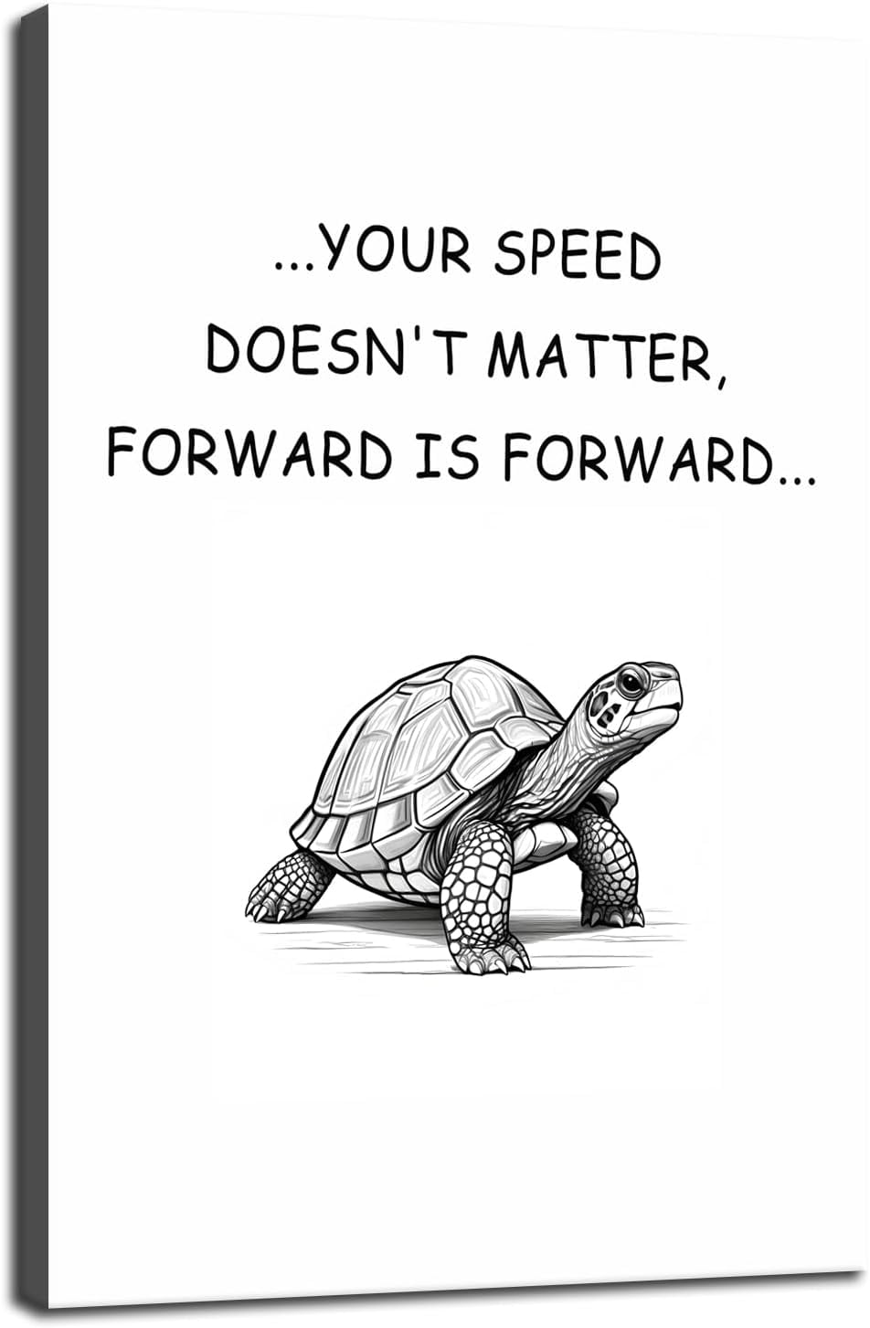 AVOI Turtle Motivational Quote SPEED DOESN'T MATTER, FORWARD IS FORWARD ...