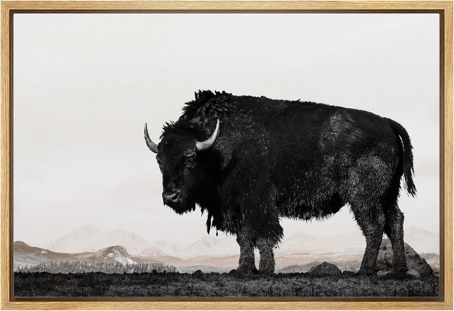 AVOI Unframed Canvas Print Wall Art Black White Buffalo Bison Desert ...