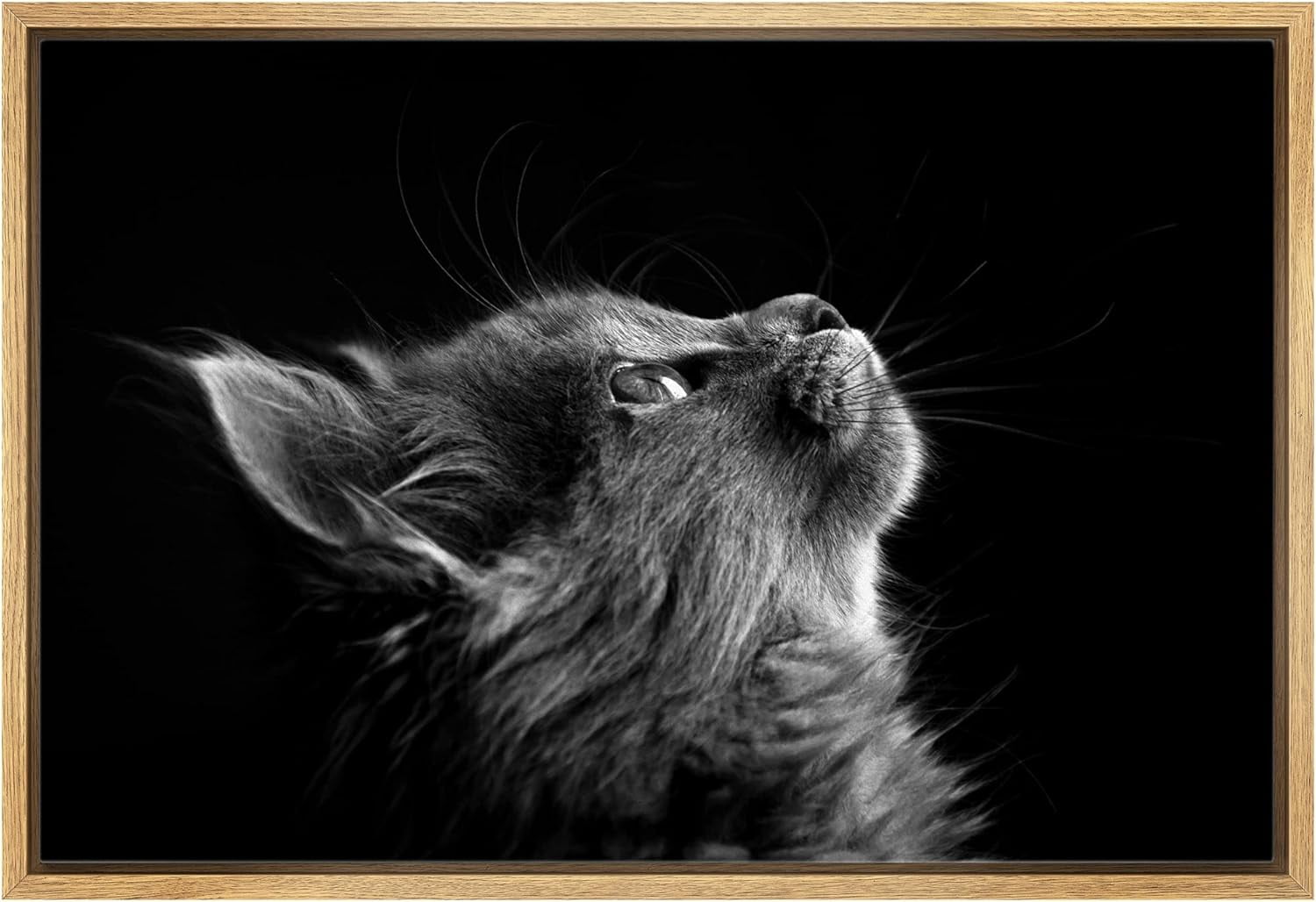 AVOI Unframed Canvas Print Wall Art Black & White Farm Cat Close Up ...