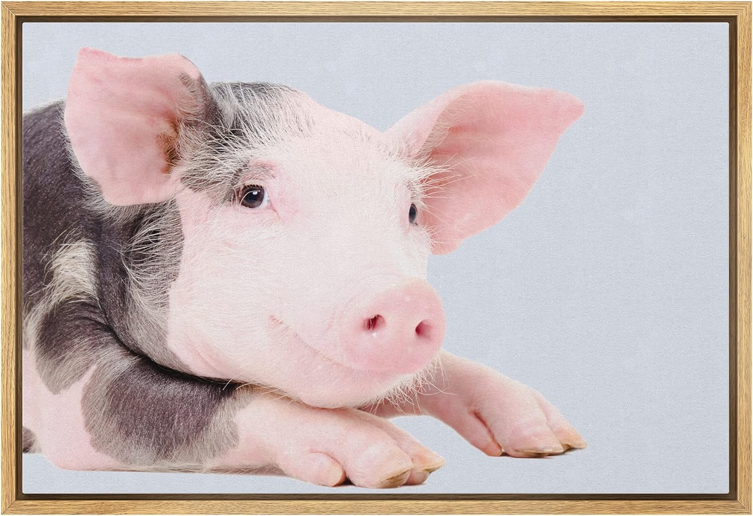AVOI Unframed Canvas Print Wall Art Spotted Pink & Black Pig Relaxing ...