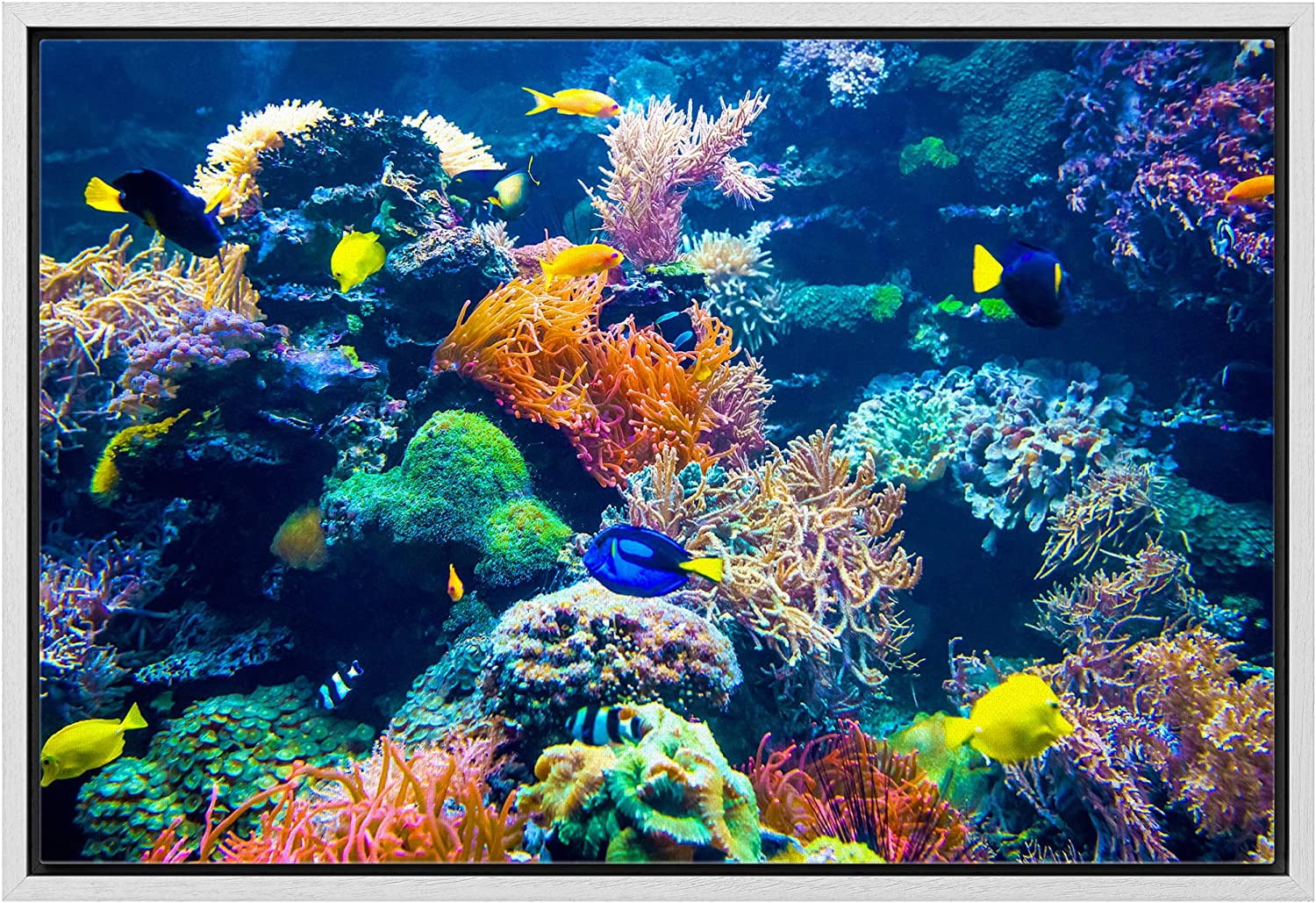 AVOI Unframed Canvas Print Wall Art Vibrant Multicolor Coral Reef Fish ...