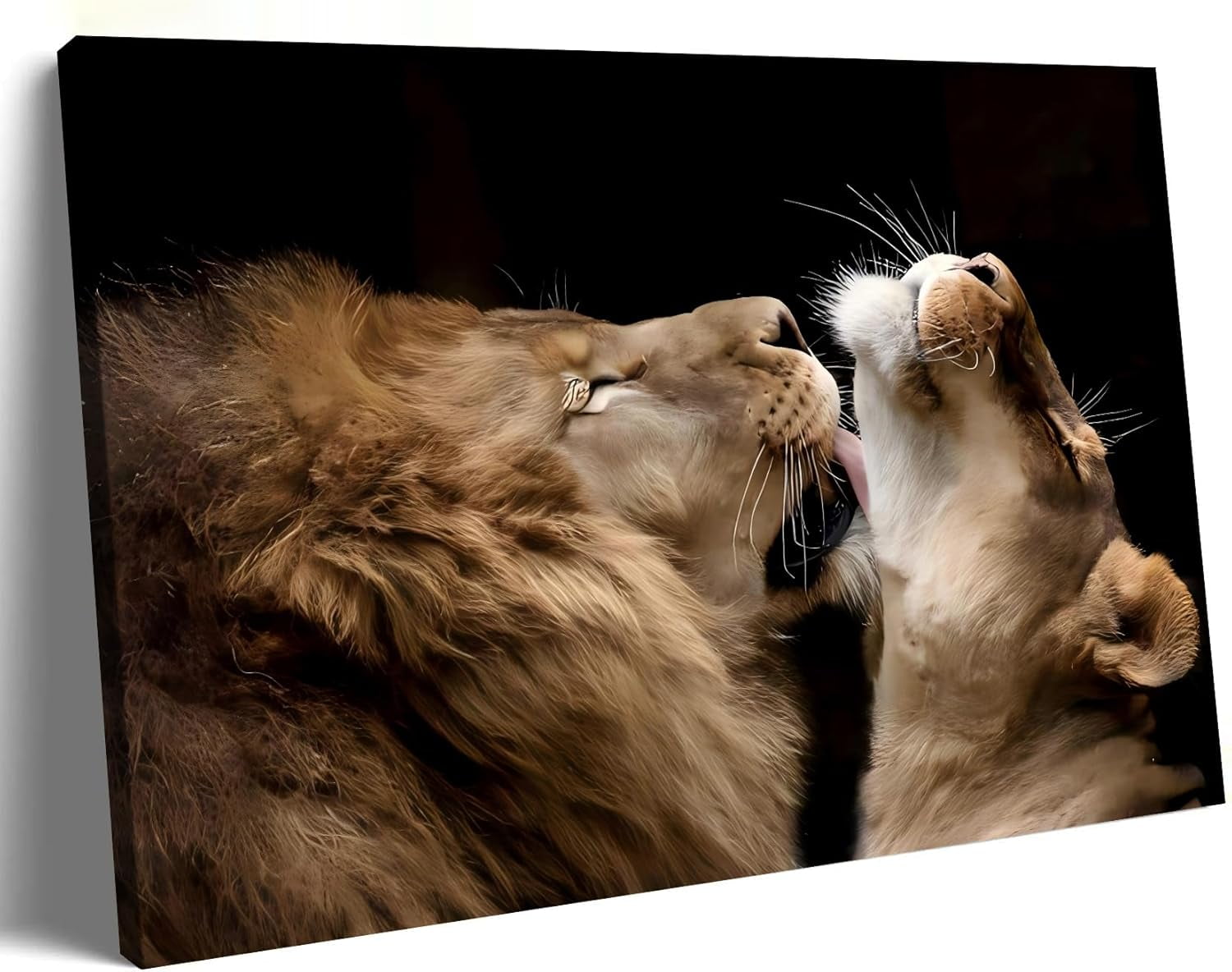 AVOI Valentines Day love Lion Couple and Lioness Wall Art Romantic ...