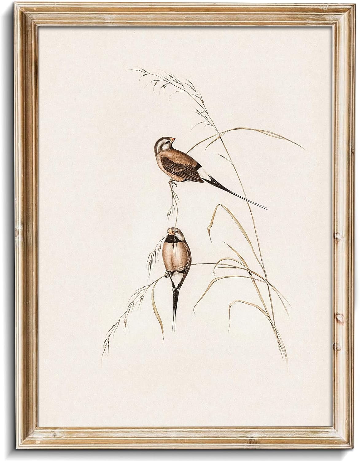 AVOI Vintage Bird Wall Art Farmhouse Retro Bird Pictures Canvas Sparrow ...