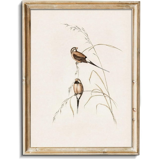 AVOI Vintage Bird Wall Art Farmhouse Retro Bird Pictures Canvas Sparrow ...