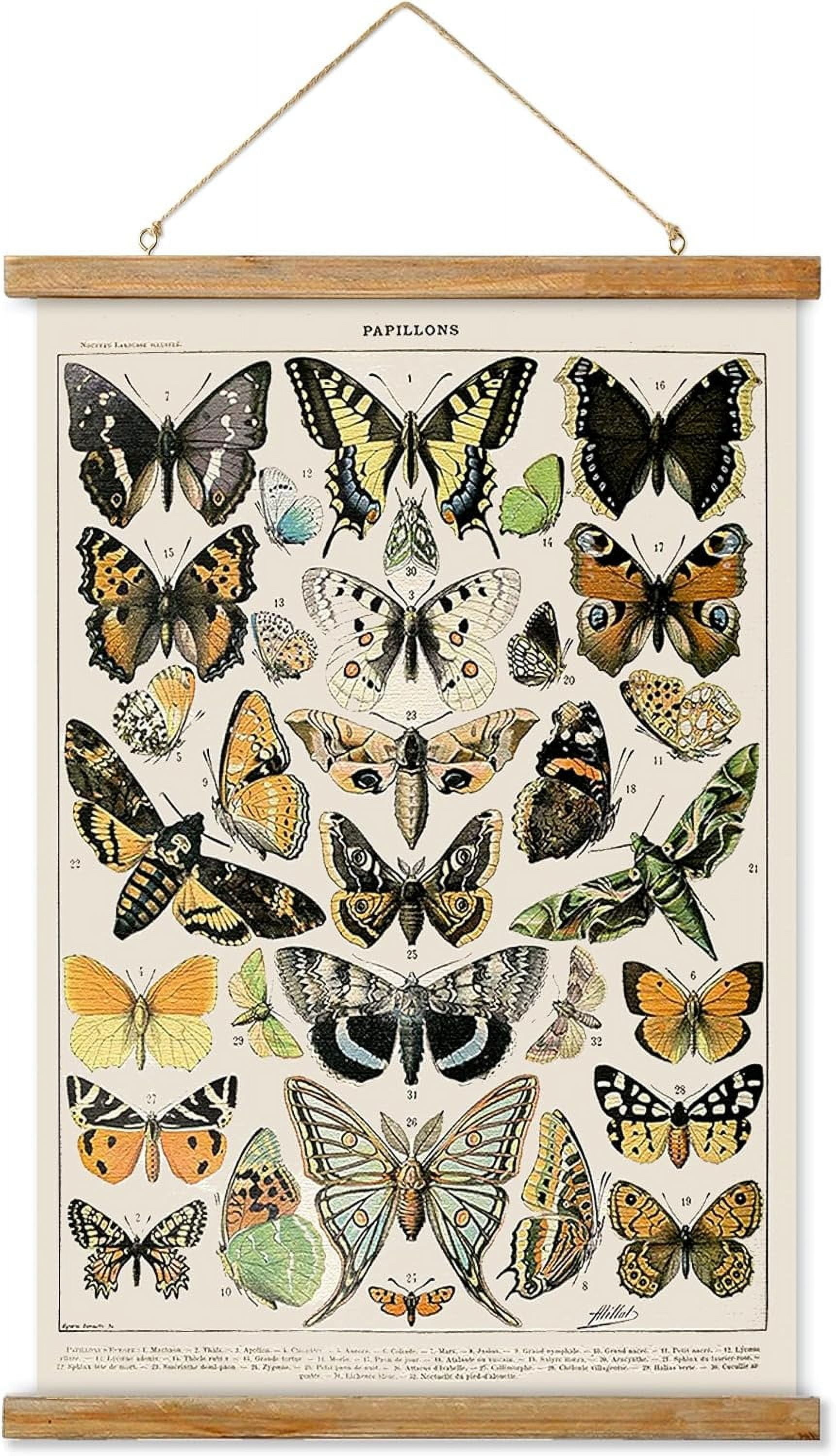 AVOI Vintage Butterflies Poster with Wooden -Cottagecore Aesthetic Wall ...