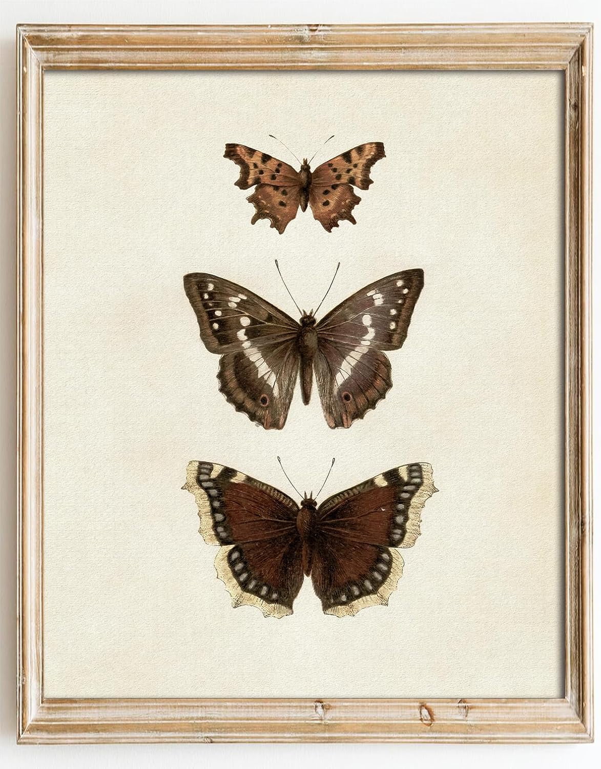 AVOI Vintage Butterfly Wall Art Prints Decor Neutral Butterfly Sketch ...