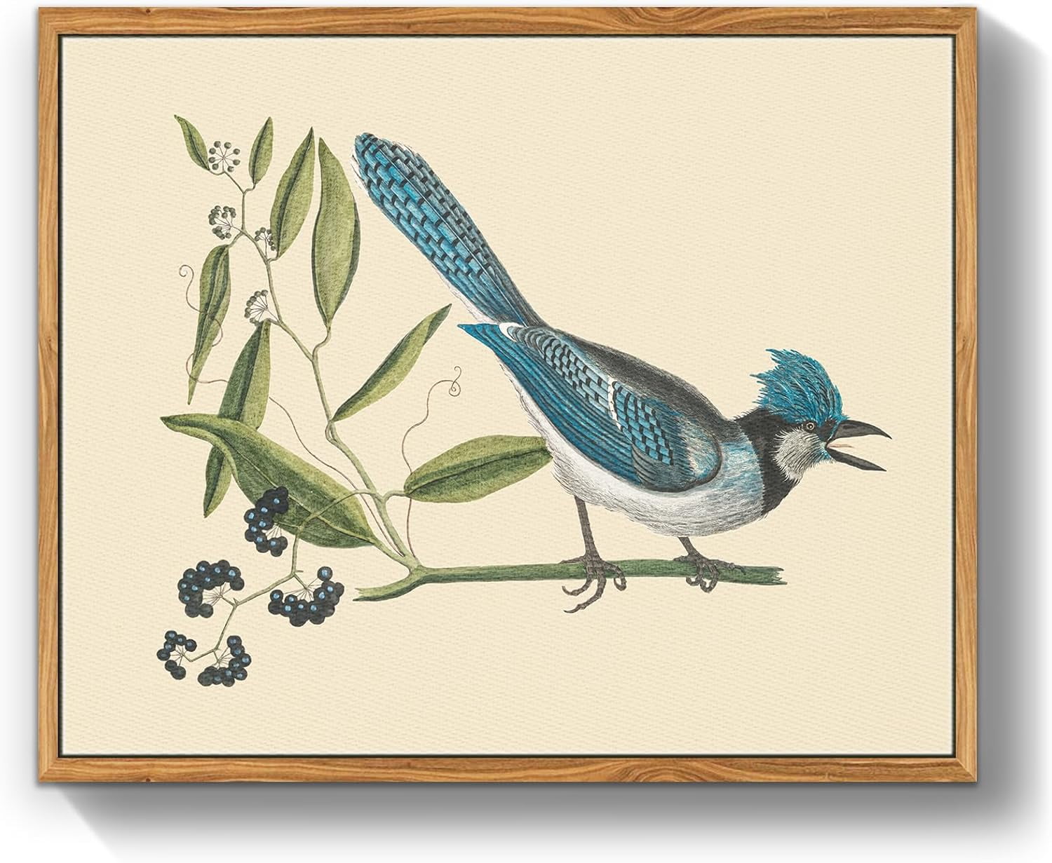 AVOI Vintage Framed Wall Art, Blue Bird Still Life Art Prints, Animal ...
