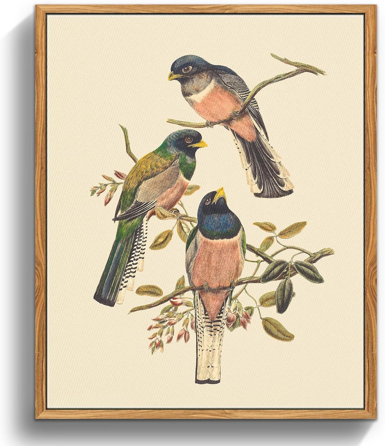 AVOI Vintage Framed Wall Art, Song Bird Classical Canvas Painting ...