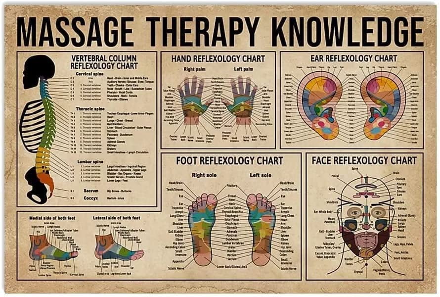 AVOI Wall Art Massage Therapy Knowledge Canvas Poster Infographics ...