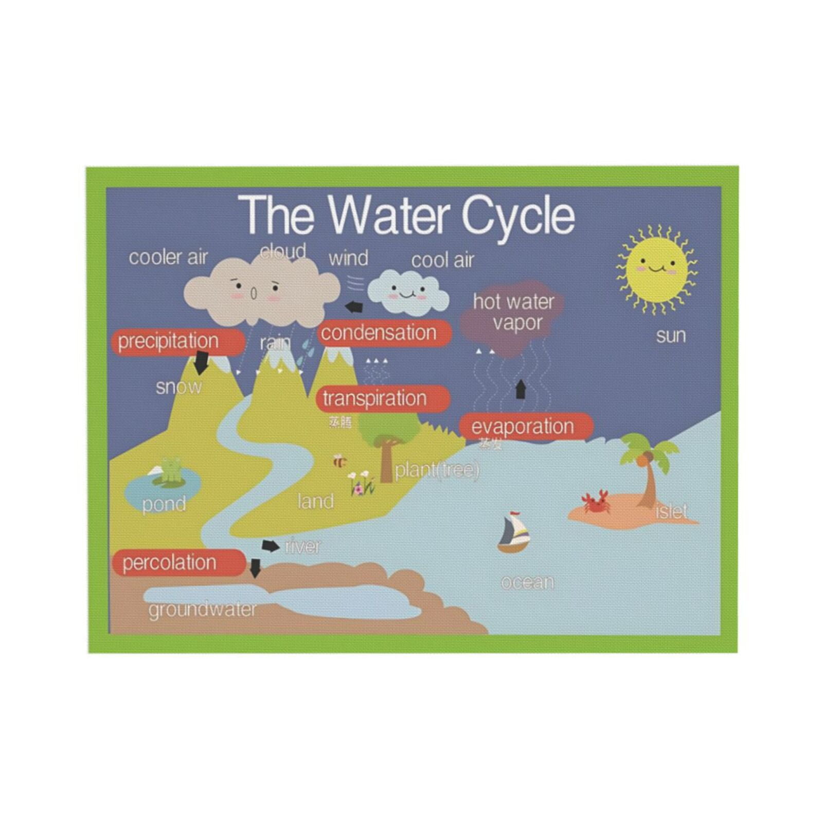 AVOI The Water Cycle Mind Mapping|Educational Posters for Toddlers and ...