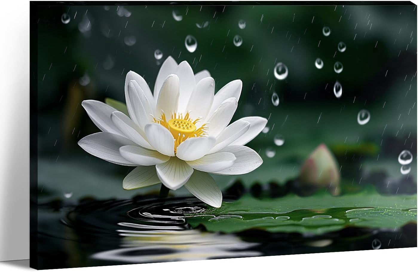 AVOI White Lotus Canvas Wall Art - Zen Wall Decor Flower on Water ...