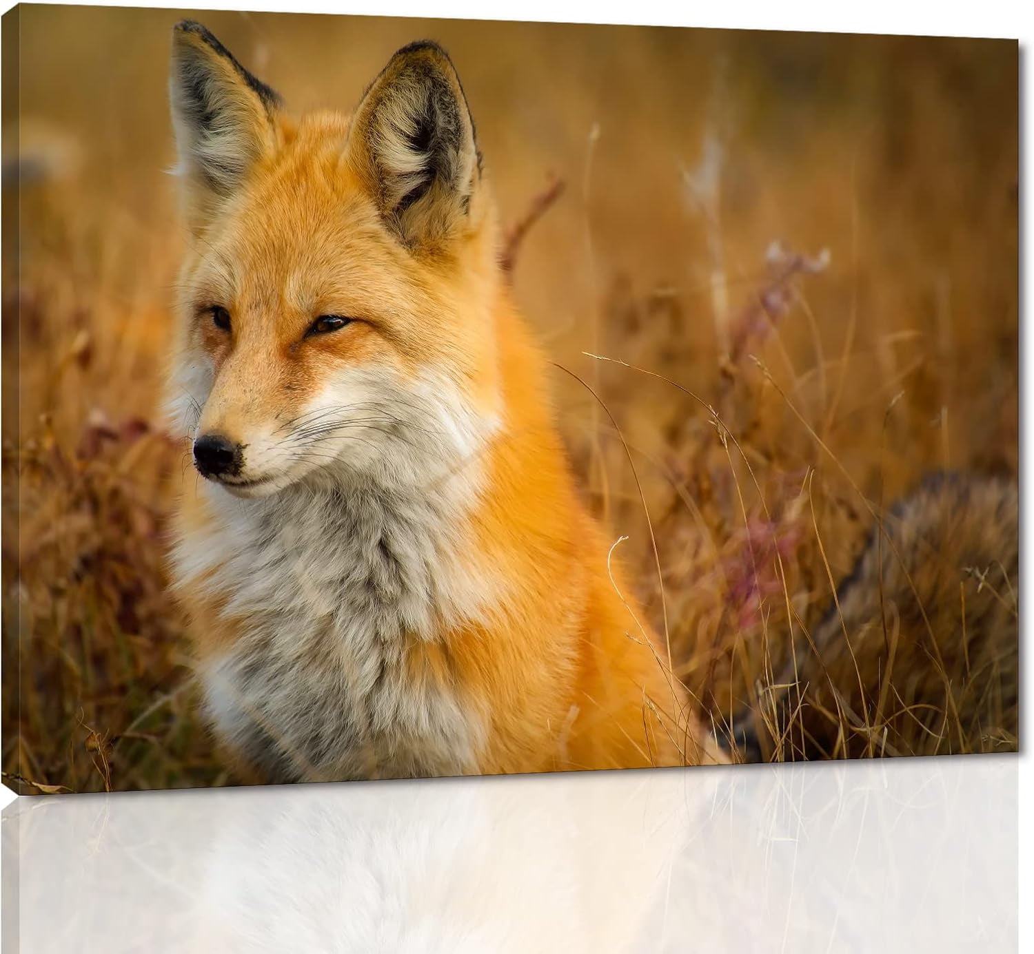 AVOI Wildlife Animal Wall Art Fox Standing in Hideout Picture HD Print ...