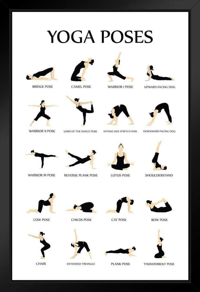 AVOI Workout Posters For Home Gym Yoga Poses Reference Chart Studio ...
