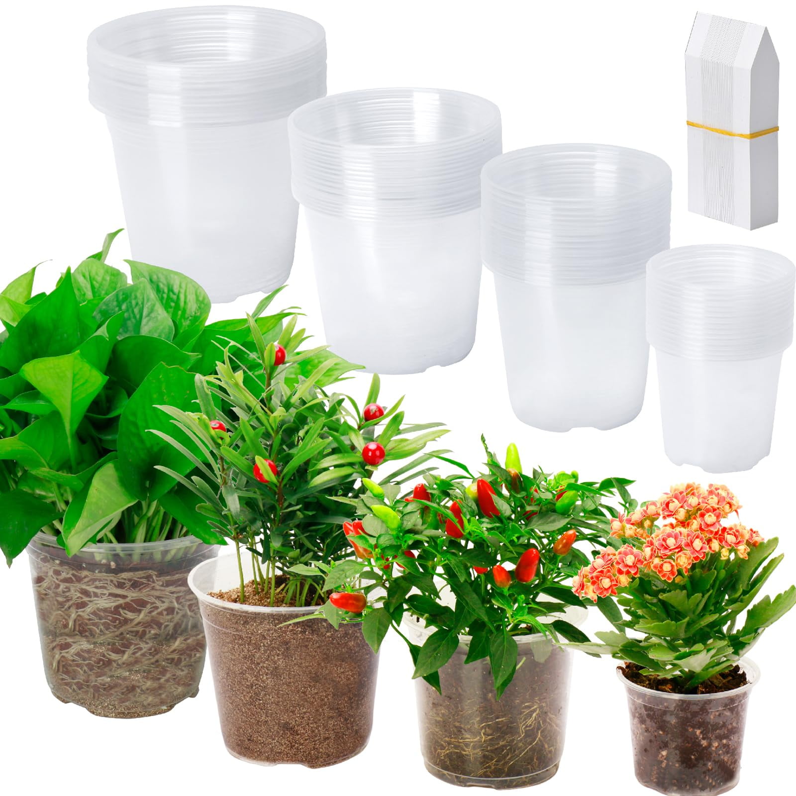 AVOIDSUN Clear Nursery Pots with Drainage AIS1 Holes-48 Pack 3.5/5/6 ...