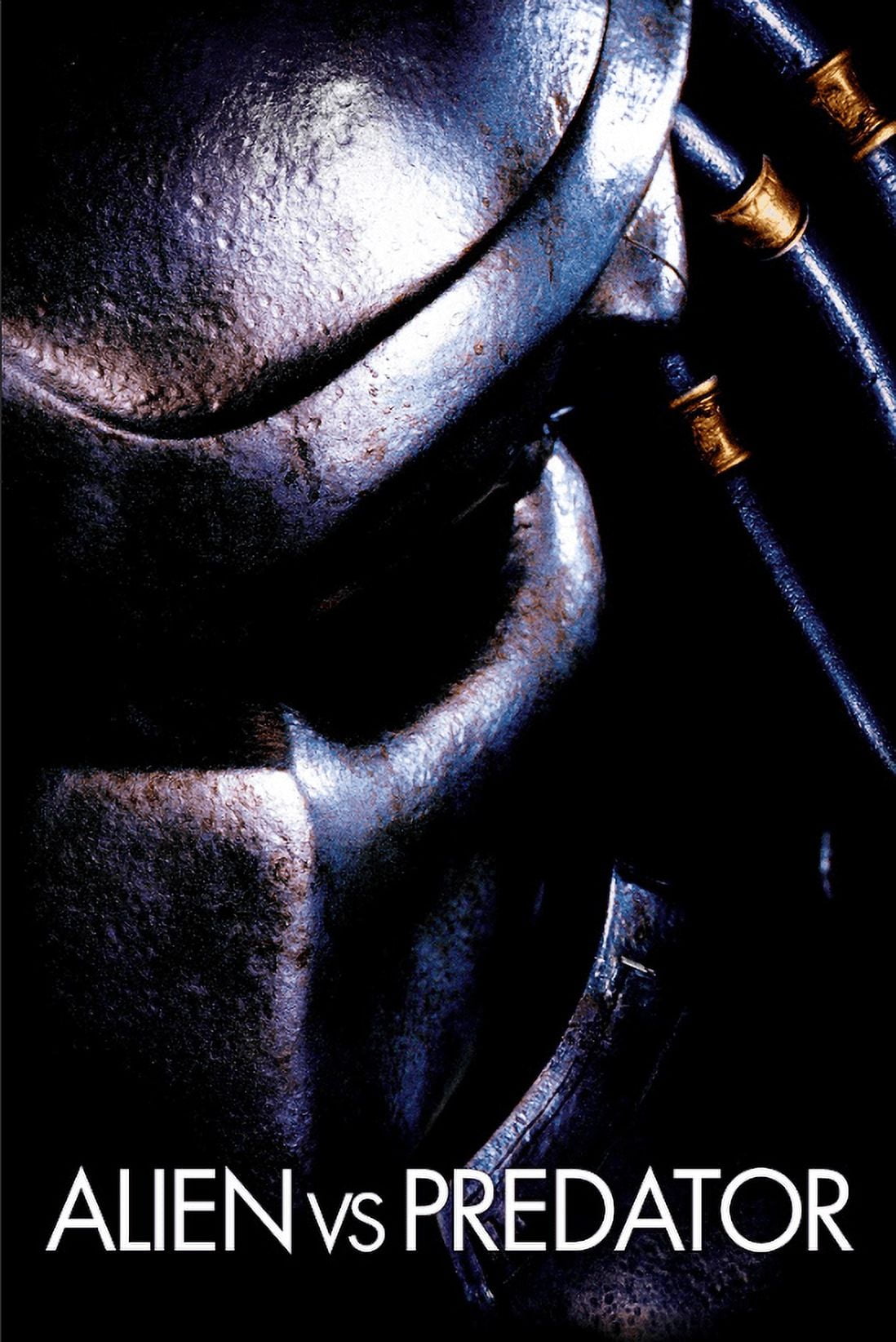 AVP: Alien vs. Predator (2004) 24x36 Poster - Sci-Fi Action, Alien Showdown - Walmart.com