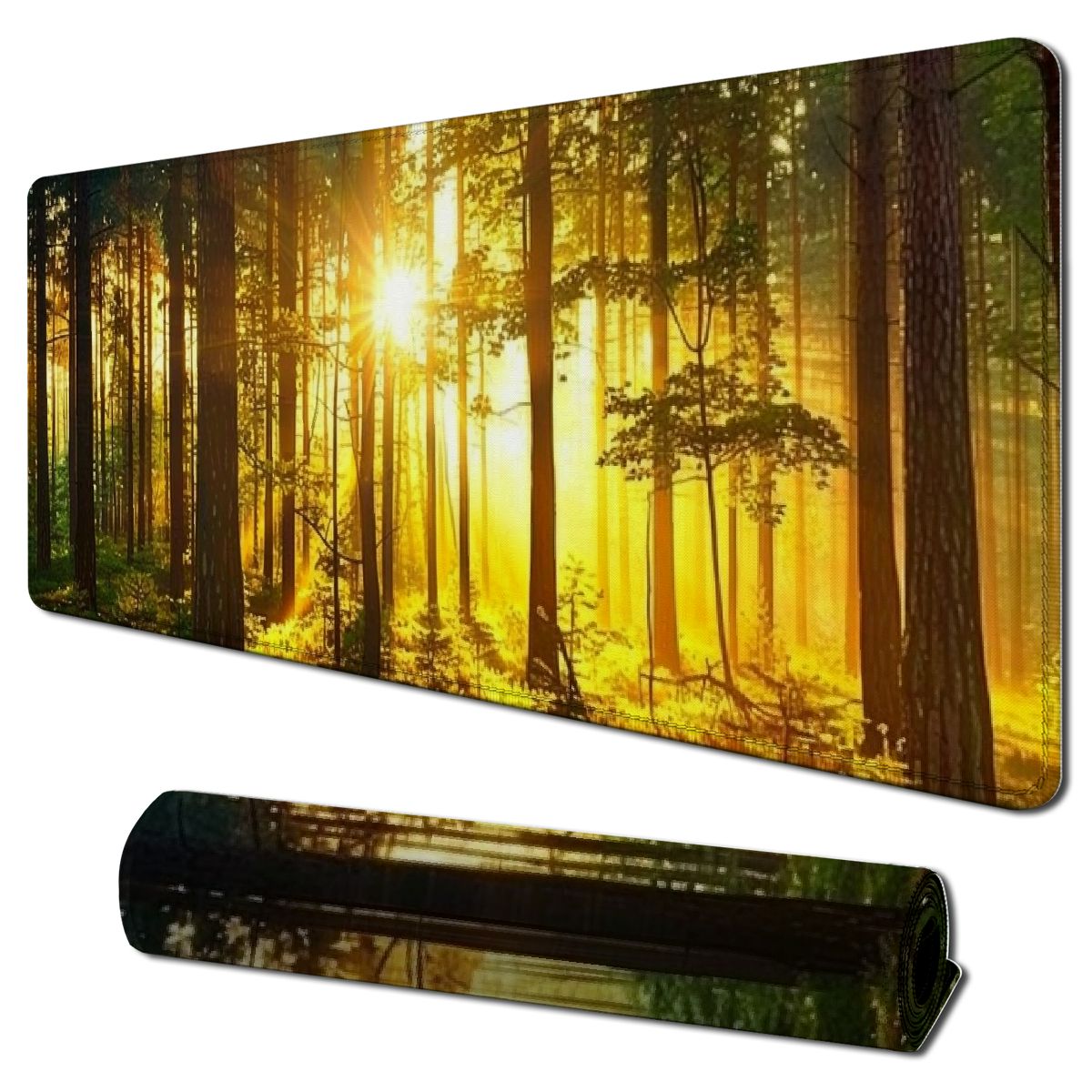 AWERP Silent Forest in Spring with Beautiful Bright Sun Rays Morning ...