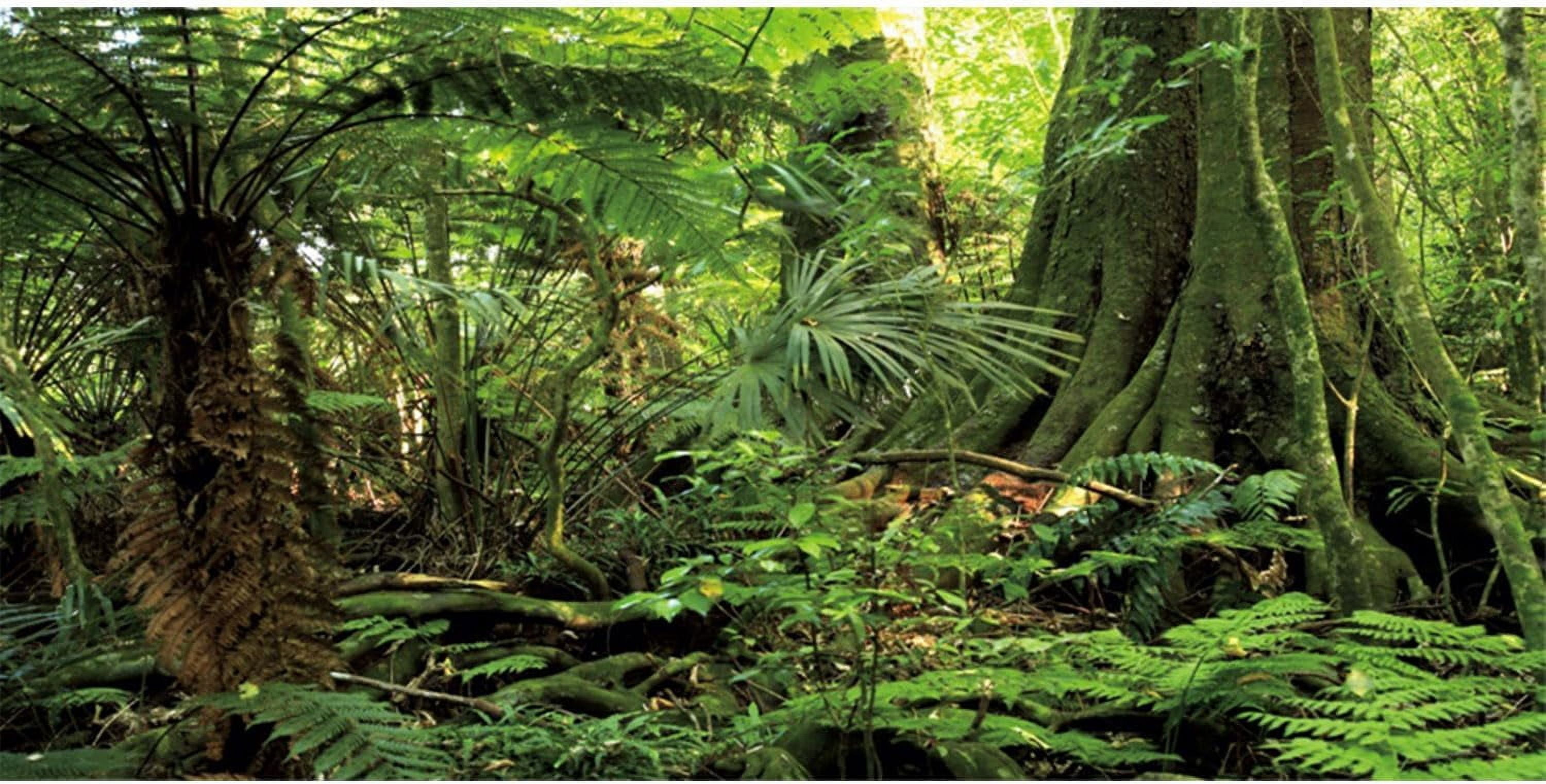 AWERT 36x20 inches Forest Terrarium Background Stone Green Huge Tree ...