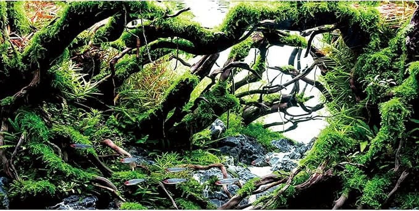 AWERT 48x18 inches Branches Fish Tank Background Green Algae Aquarium ...