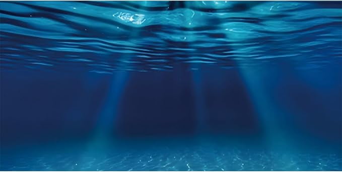 AWERT 48x24 inches Ocean Floor Aquarium Background Undersea Theme ...