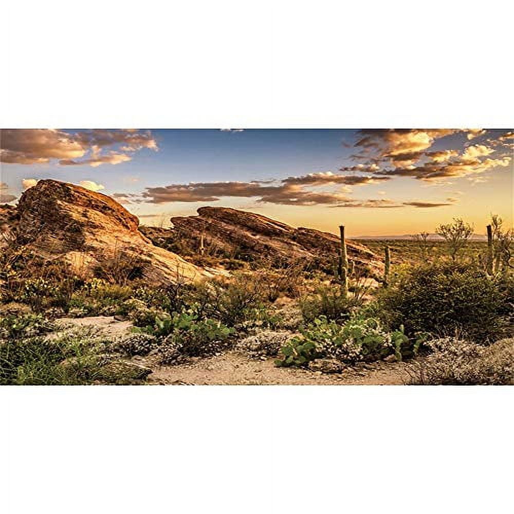 AWERT Reptile Habitat Background Blue Sky Oasis Cactus Sun and Desert ...