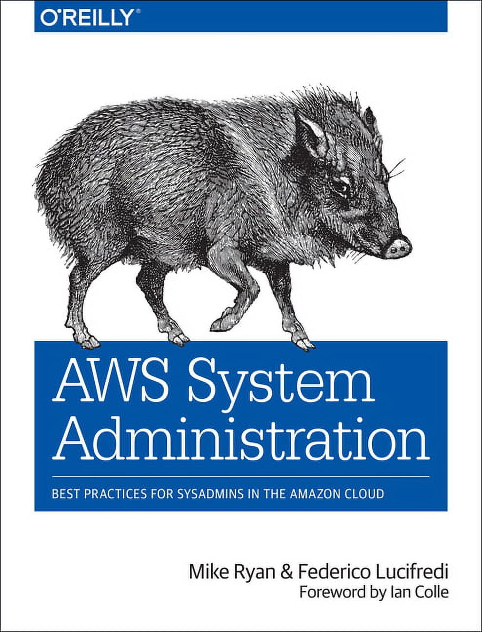 AWS System Administration : Best Practices for Sysadmins in the Amazon ...
