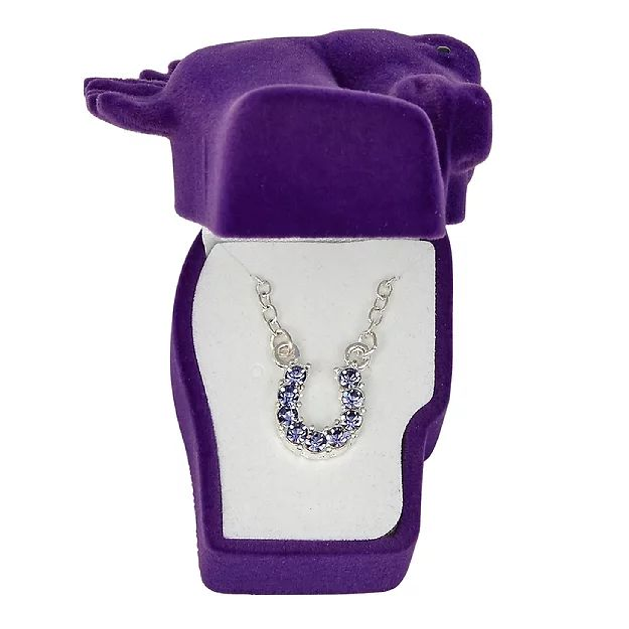 AWST Int'l Aqua Rhinestone Horseshoe Necklace with Horse Head Gift Box ...