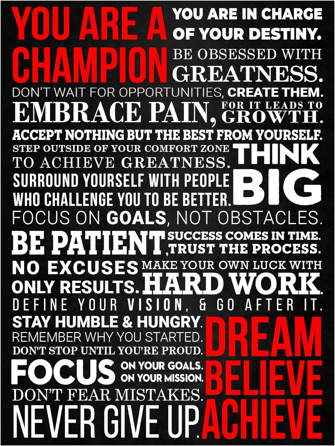 AXXPosters-A Champion's Mantra Motivational Poster - 12 x 16 Inch ...