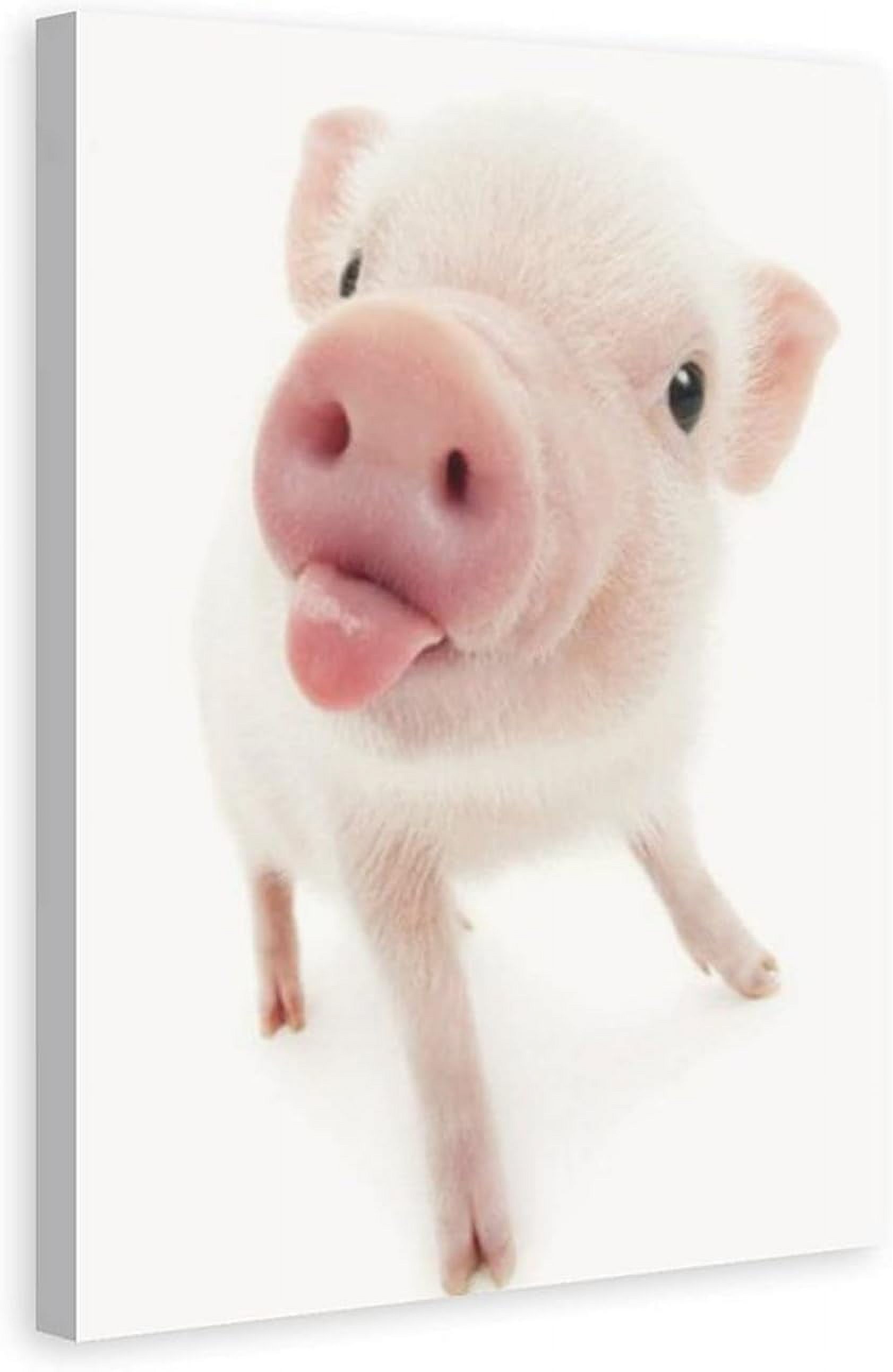 AXXPosters Animal Poster Cute Baby Pig 7 Canvas Poster Wall Art Decor ...