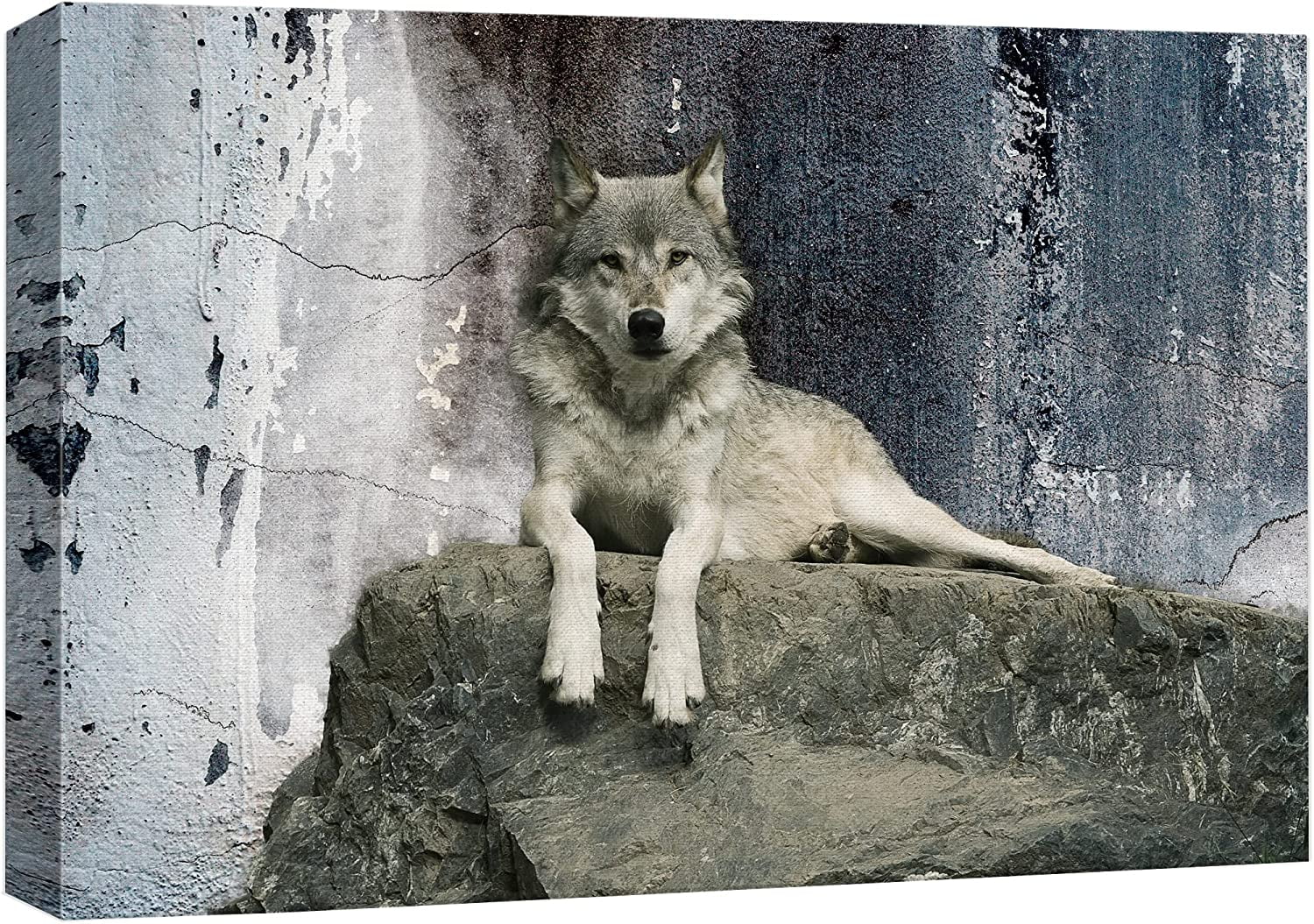 AXXPosters-- Animal Theme Canvas Wall Art - A Wolf Laying on a Boulder ...