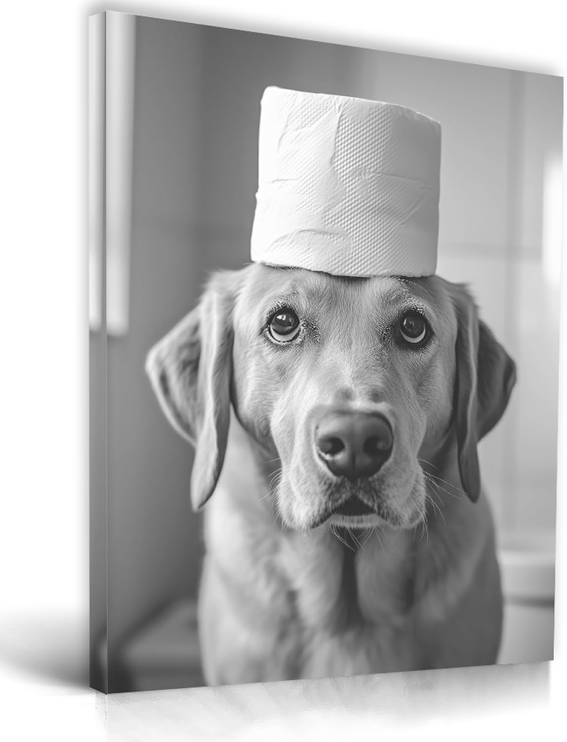 AXXPosters-Bathroom Wall Art Decor, Black and White Labrador Retriever ...