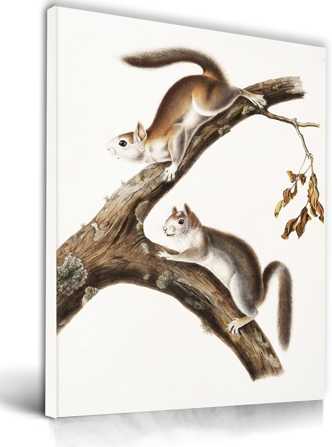 AXXPosters-Bathroom Wall Art Decor, Squirrels Brown Wall Art, Waterproof Wood Canvas Wall Art ...