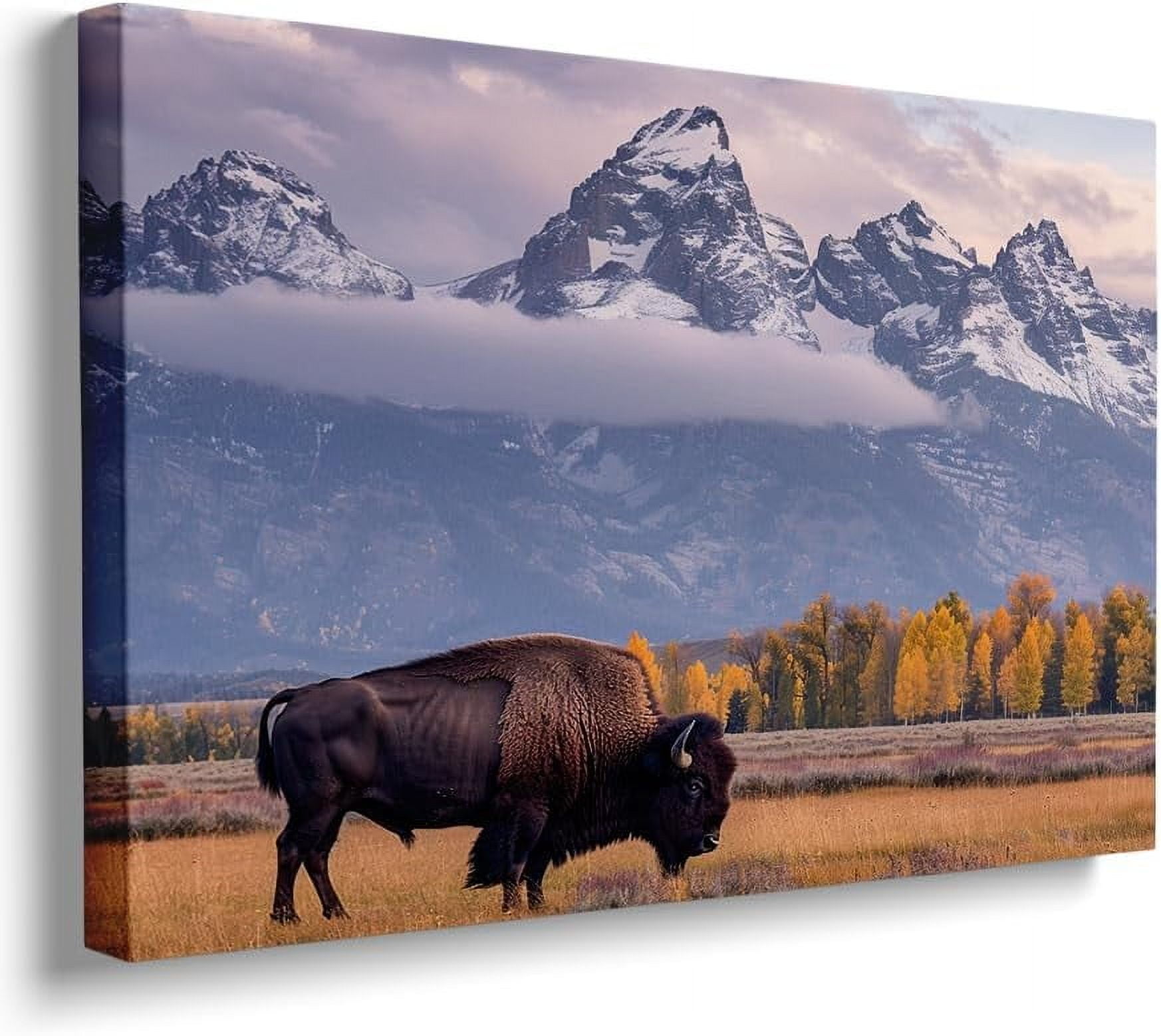 AXXPosters Bison Posters Framed Canvas Print Wall Art Bison Buffalo ...